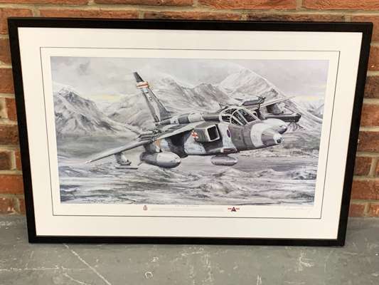 Framed Arctic Warrior Print By Michael Rondot 38/200 Edition | Saturday ...
