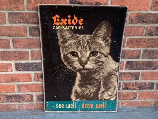 Cardboard Cat Exide Batteries Sign | Saturday 19th & Sunday 20th August ...